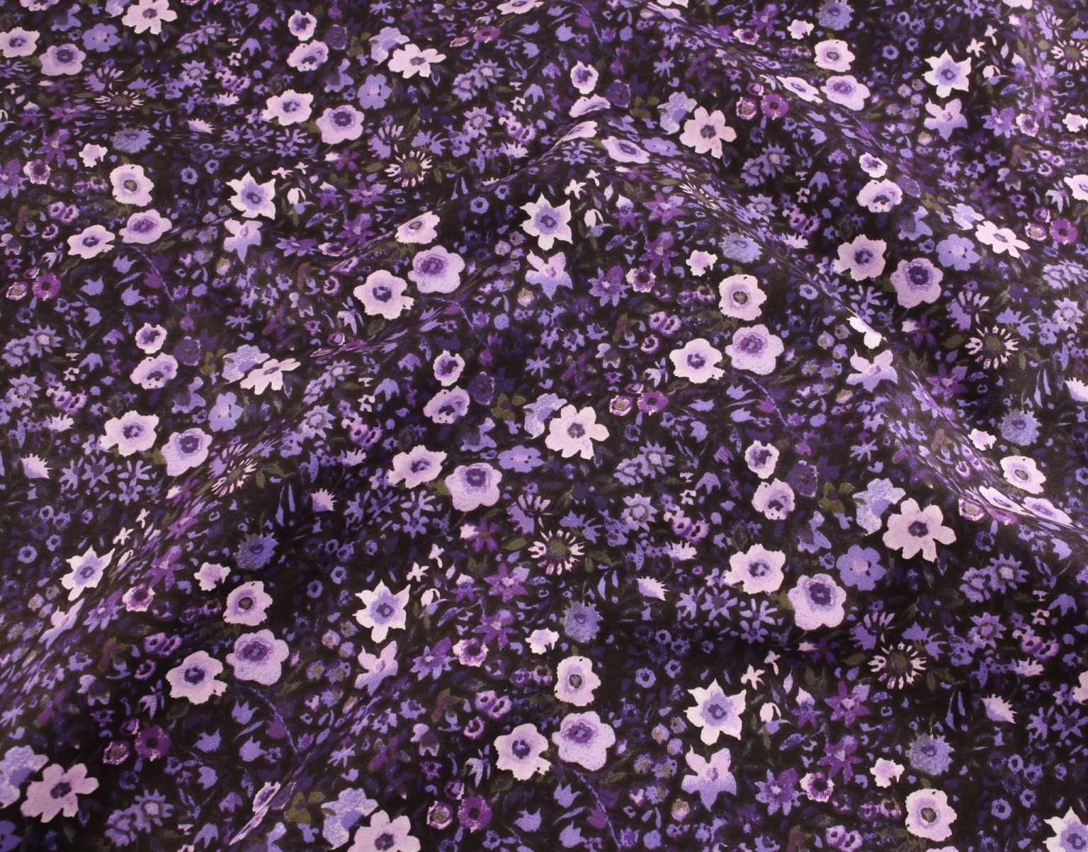 Craft Cotton Co - Graphic Daisies Purple – Debbie Shore Sewing